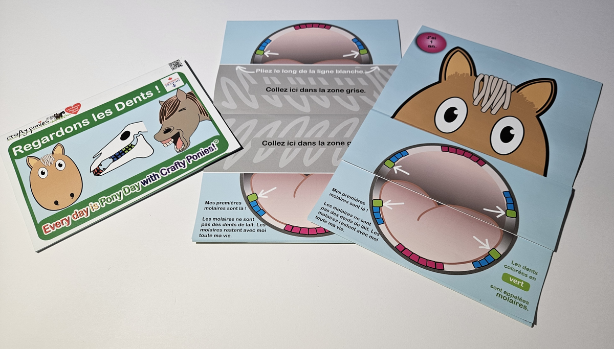 Let's Look at Teeth! – Crafty Ponies Canada