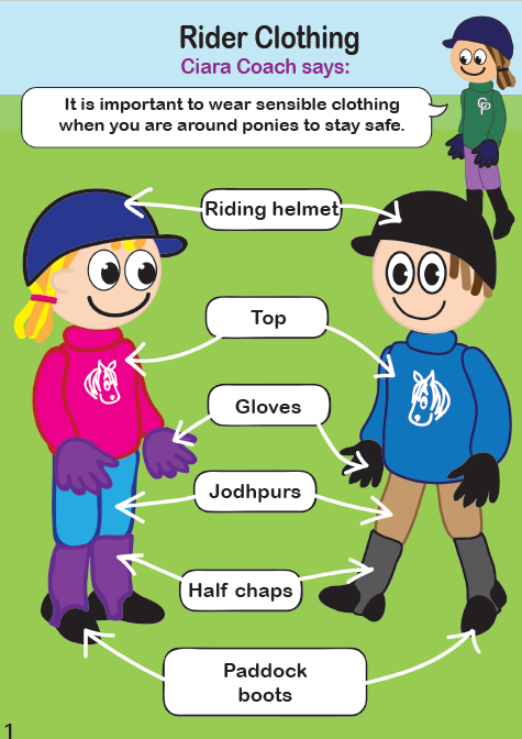 Riders – Crafty Ponies Canada